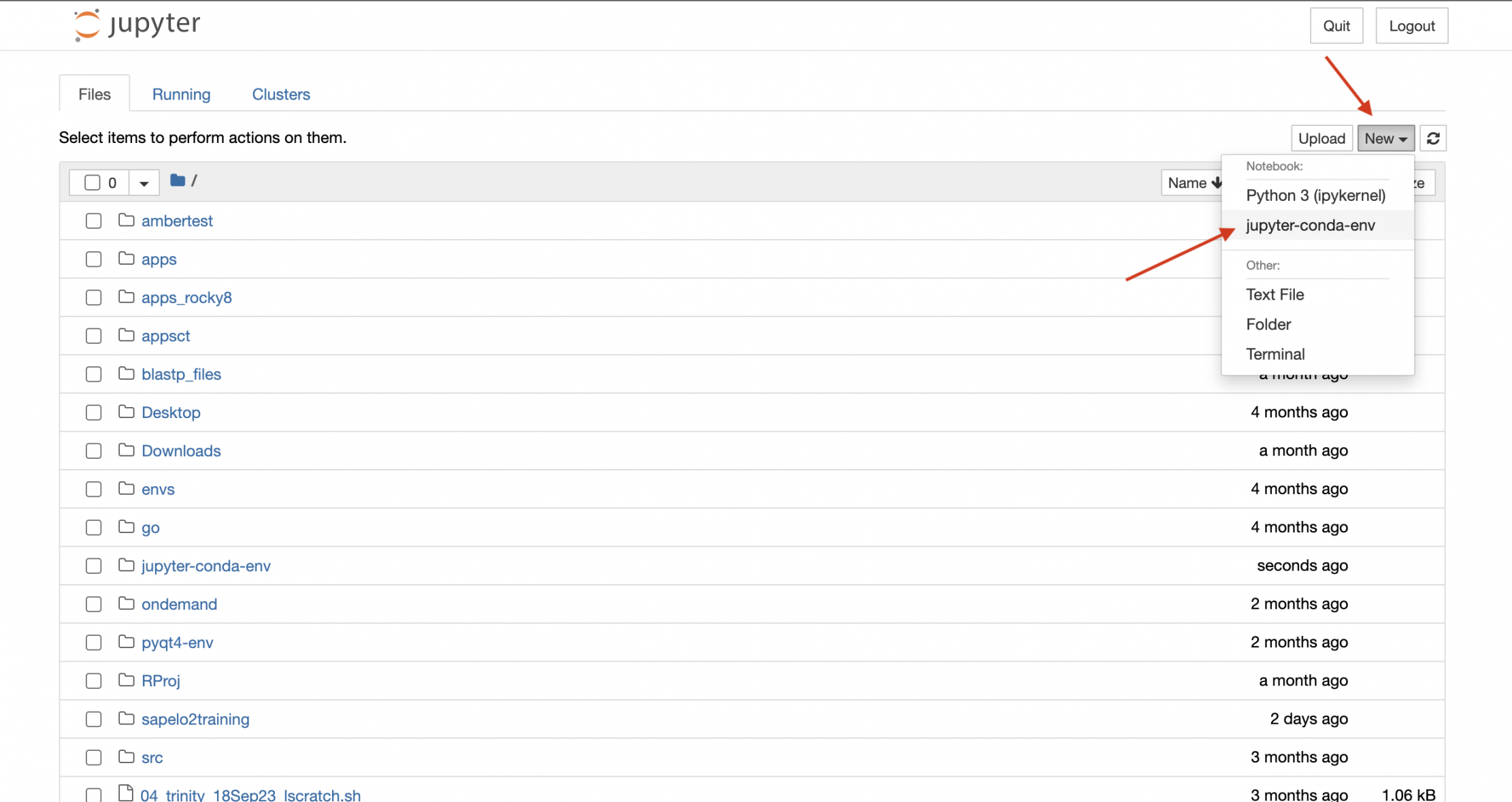 Using a Conda environment in Jupyter - Research Computing Center Wiki